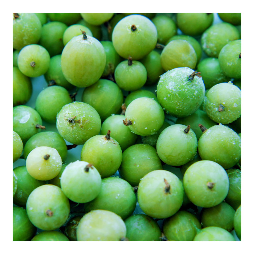 Mrożony agrest karton 10 kg - Sklep Polmarkus